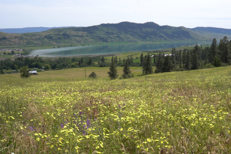 Shxwhá:y Village; Community Cultural Centre - Okanagan Indian Band